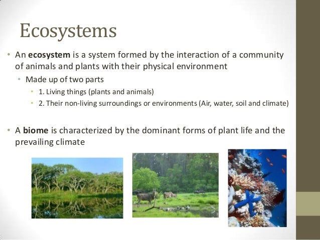 1 Ecosystems Introduction