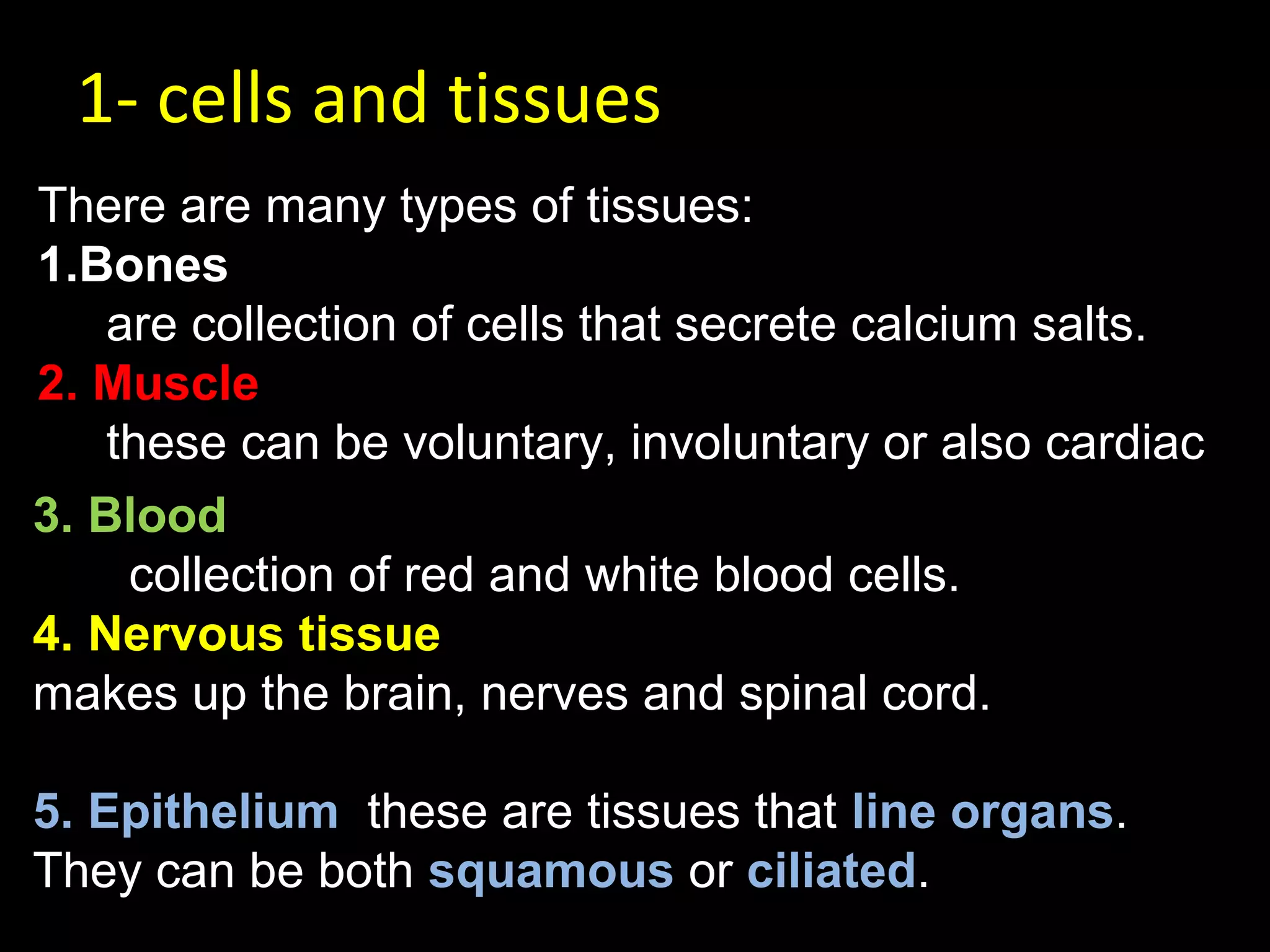 1 edexcel igcse human biology -cell and tissues | PPT