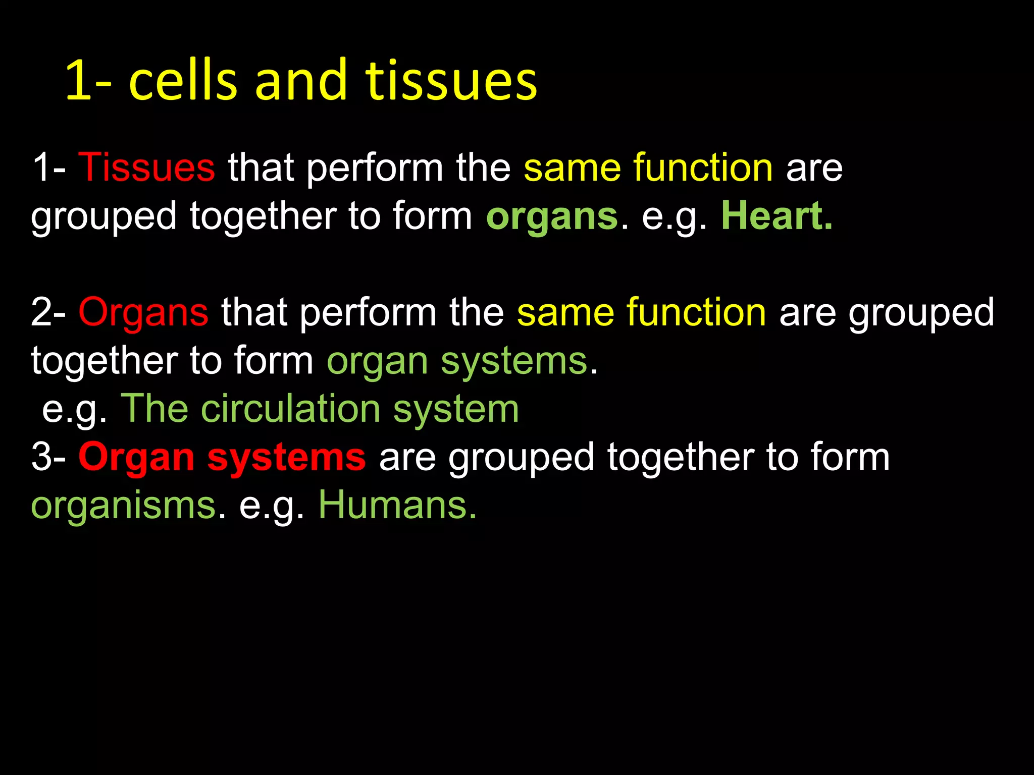 1 edexcel igcse human biology -cell and tissues | PPT