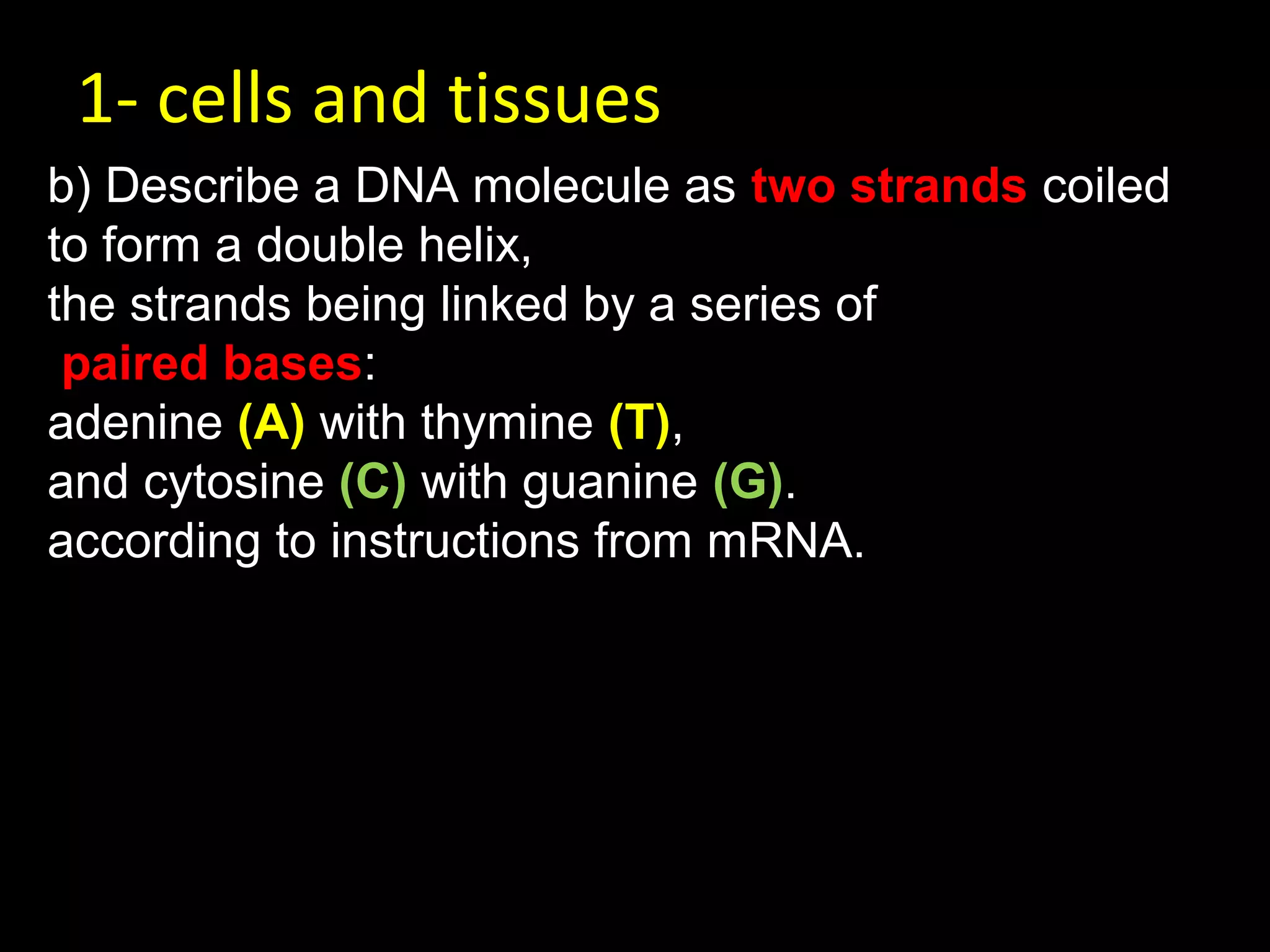 1 edexcel igcse human biology -cell and tissues | PPT