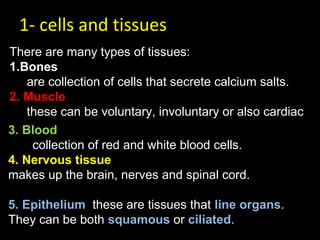 1 edexcel igcse human biology -cell and tissues | PPT