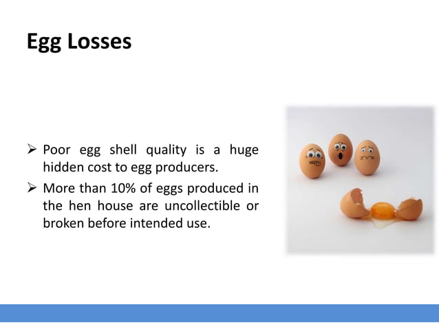 1-eggshellqualitydefects-151122104347-lva1-app6892.pdf
