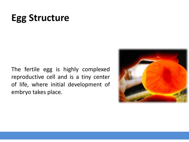 1-eggshellqualitydefects-151122104347-lva1-app6892.pdf