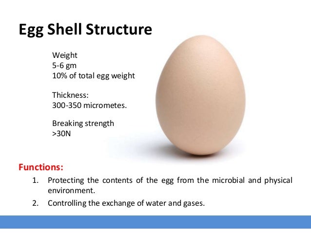 Eggshell_Quality_and_Defects
