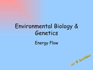 1. energy flow | PPT