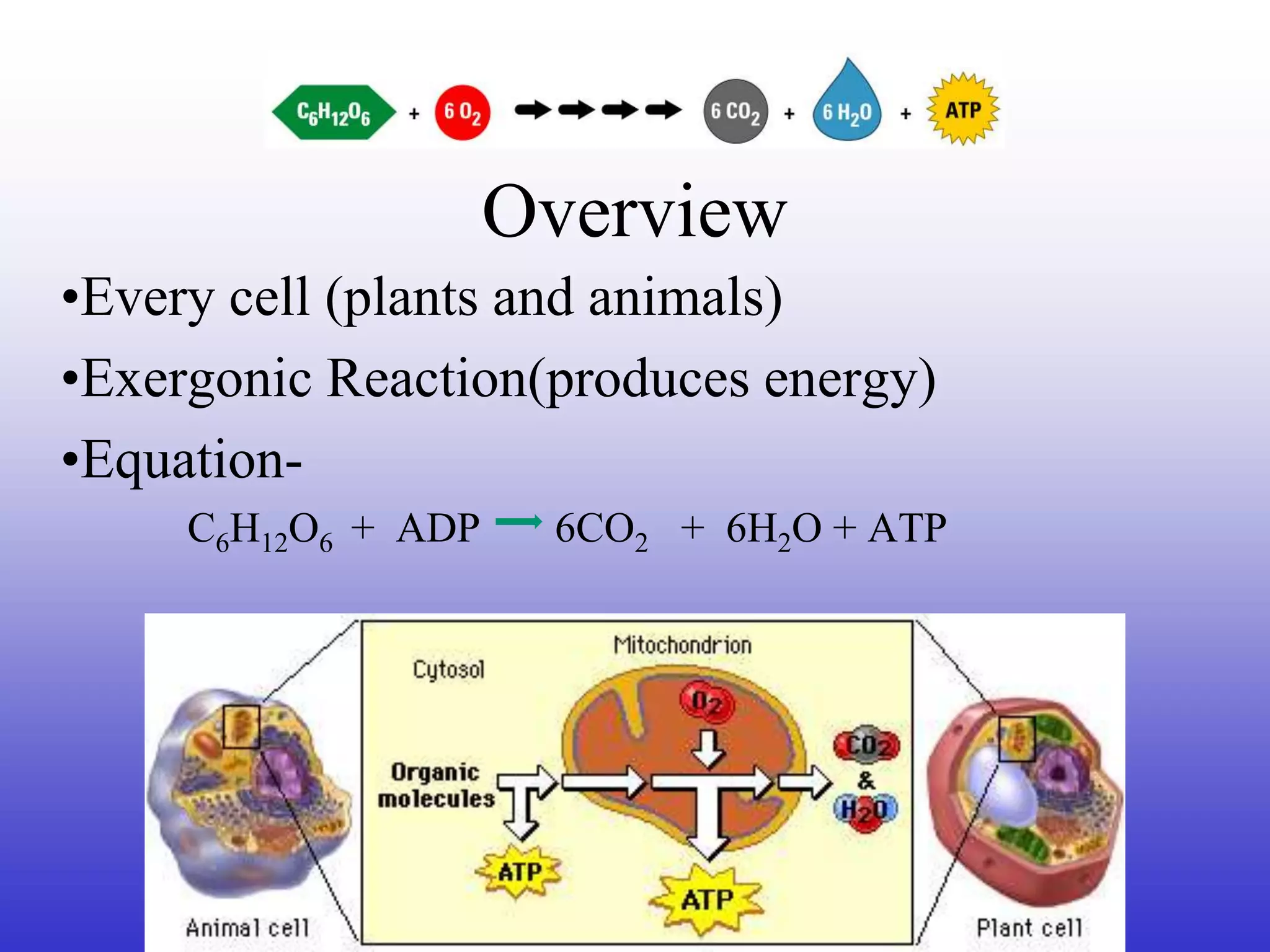 1 energy in a cell new | PPT