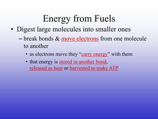 1 energy in a cell new | PPT | Chemistry | Science
