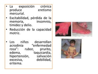 Enfermedades ambientales | PPTX