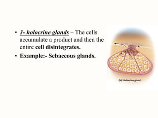 Epithelium and connective tissue disscusion.pdf