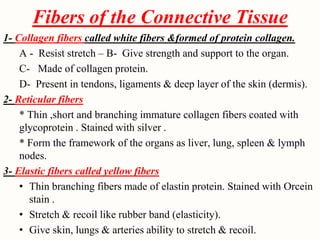 Epithelium and connective tissue disscusion.pdf