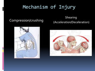 1- Emergency radiology introduction | PPTX