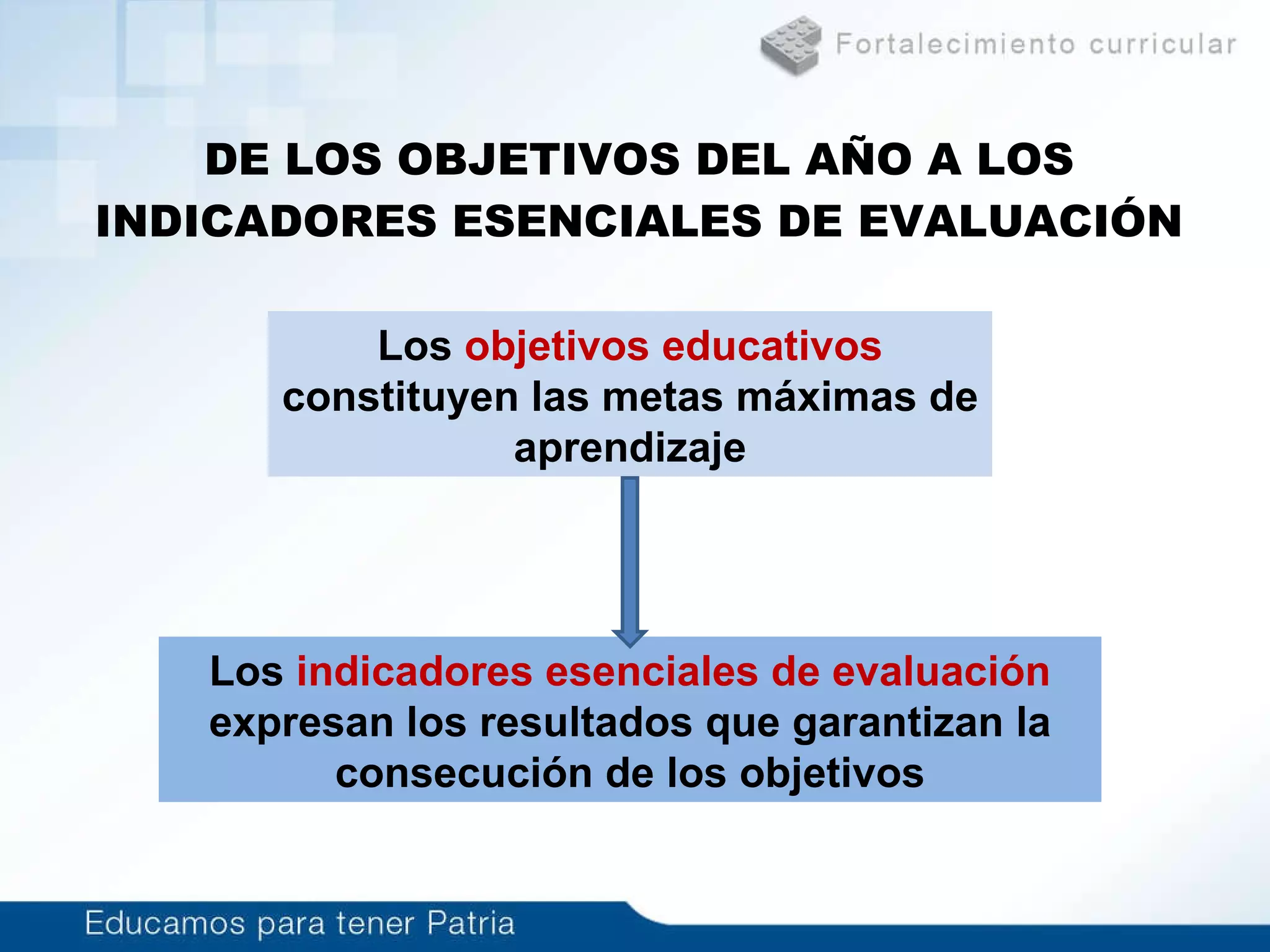 1 estructura curricular | PPT