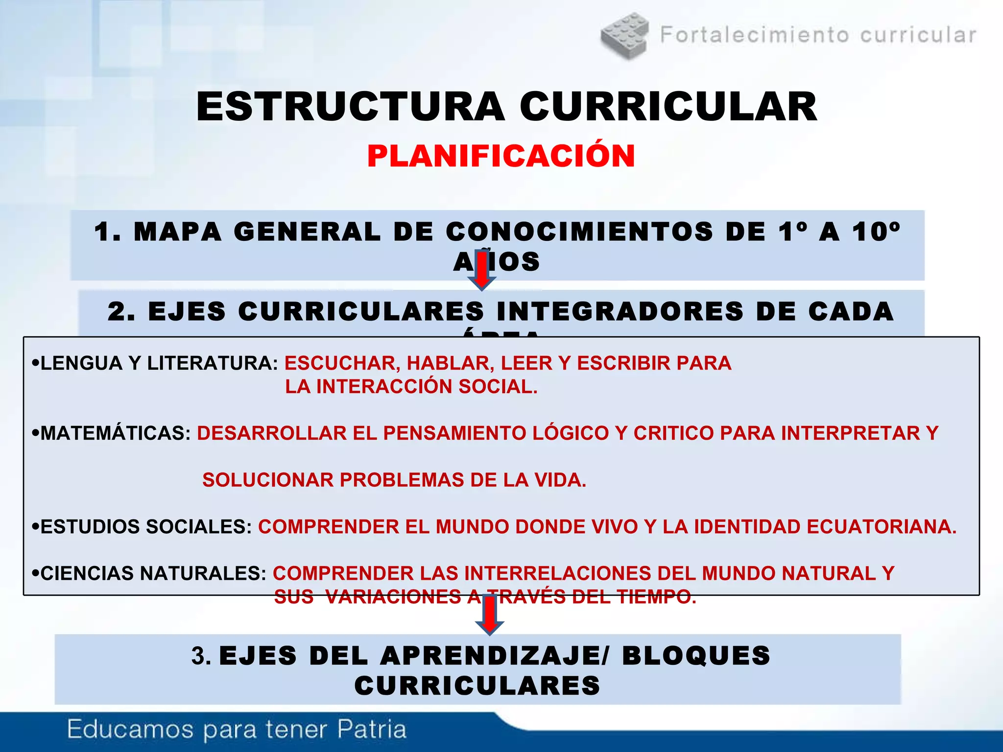 1 estructura curricular | PPT