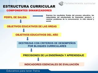 1 estructura curricular | PPT