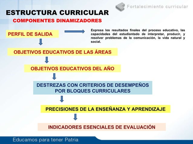 1 estructura curricular | PPT