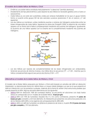 1.estructura de los acidos nucleicos | DOCX