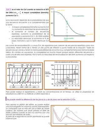 1.estructura de los acidos nucleicos | PDF