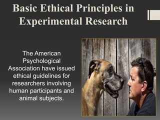 Ethical Principles and Basic Assumptions in Experimental Research | PPTX