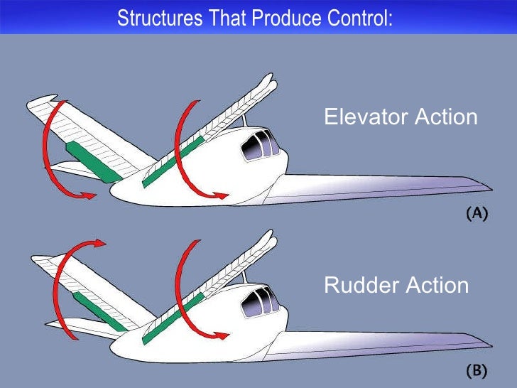 1 Evolution And Type Of Structures