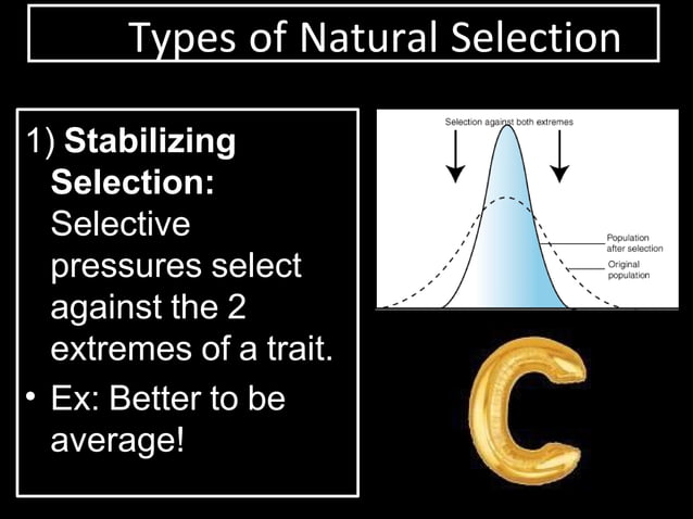 1 evolution nat-selection_and_phenotypes.194154809 | PPT