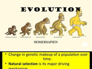 1 evolution nat-selection_and_phenotypes.194154809 | PPT