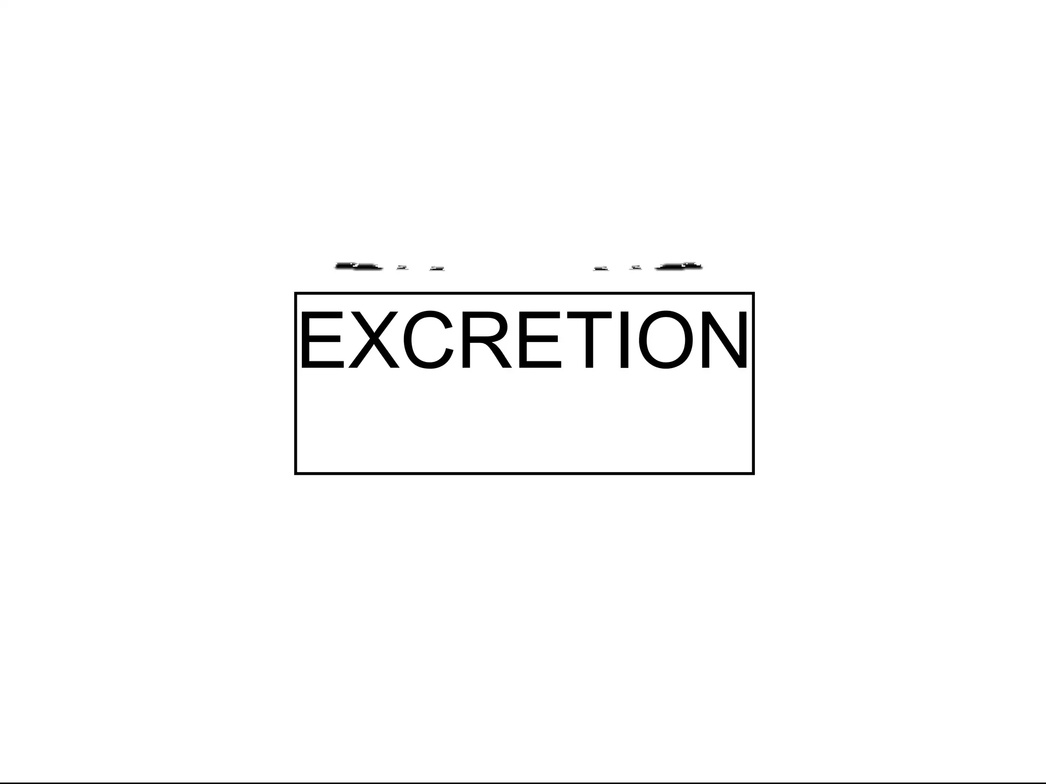 physiology : Excretion | PPT