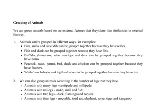 External Features of Animals | DOC