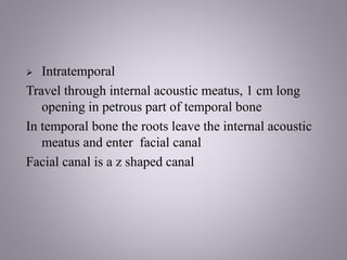 1 - facial nerve and its significance.pptx
