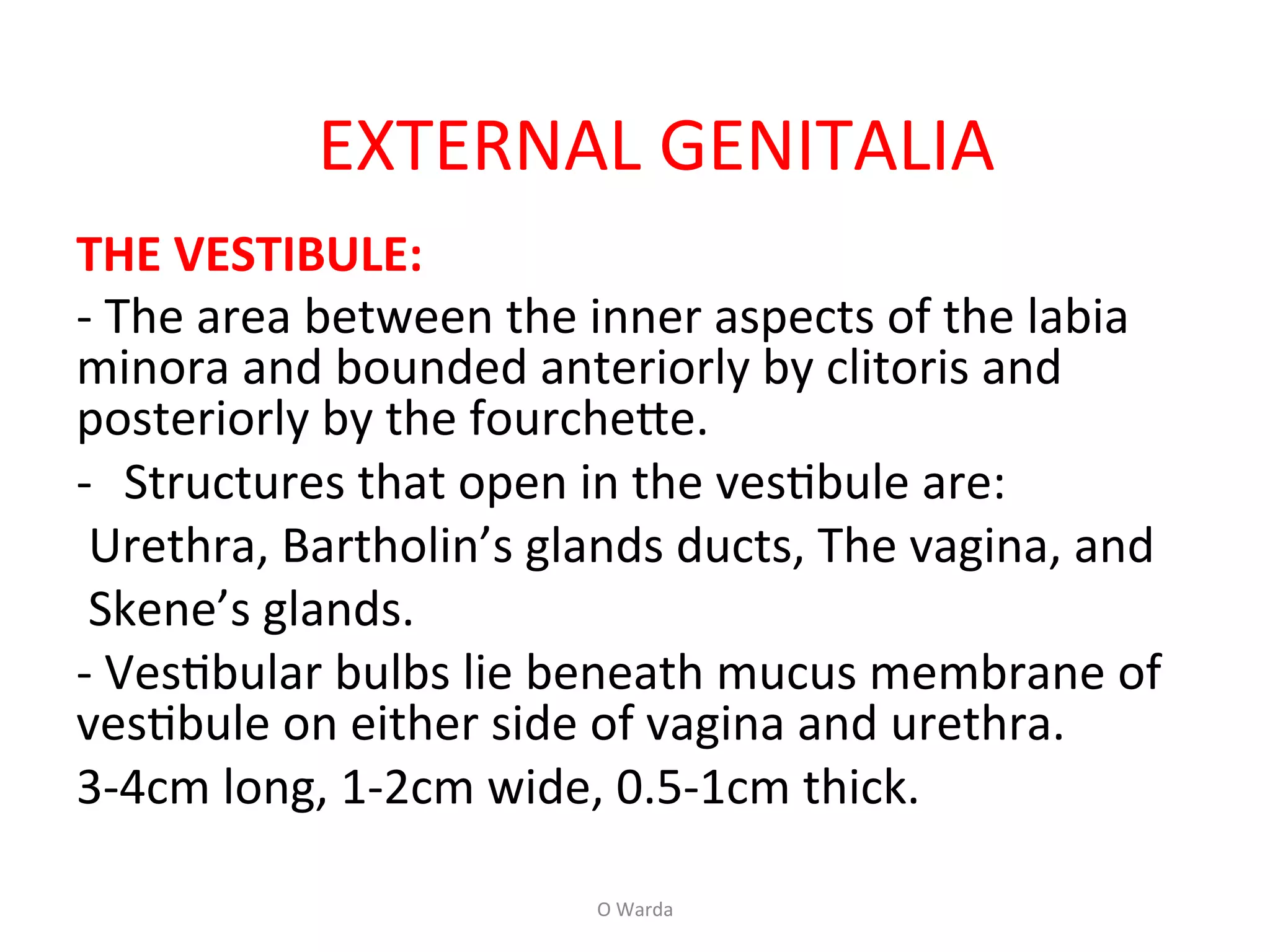 1 female pelvic anatomy-warda (part 1) | PDF