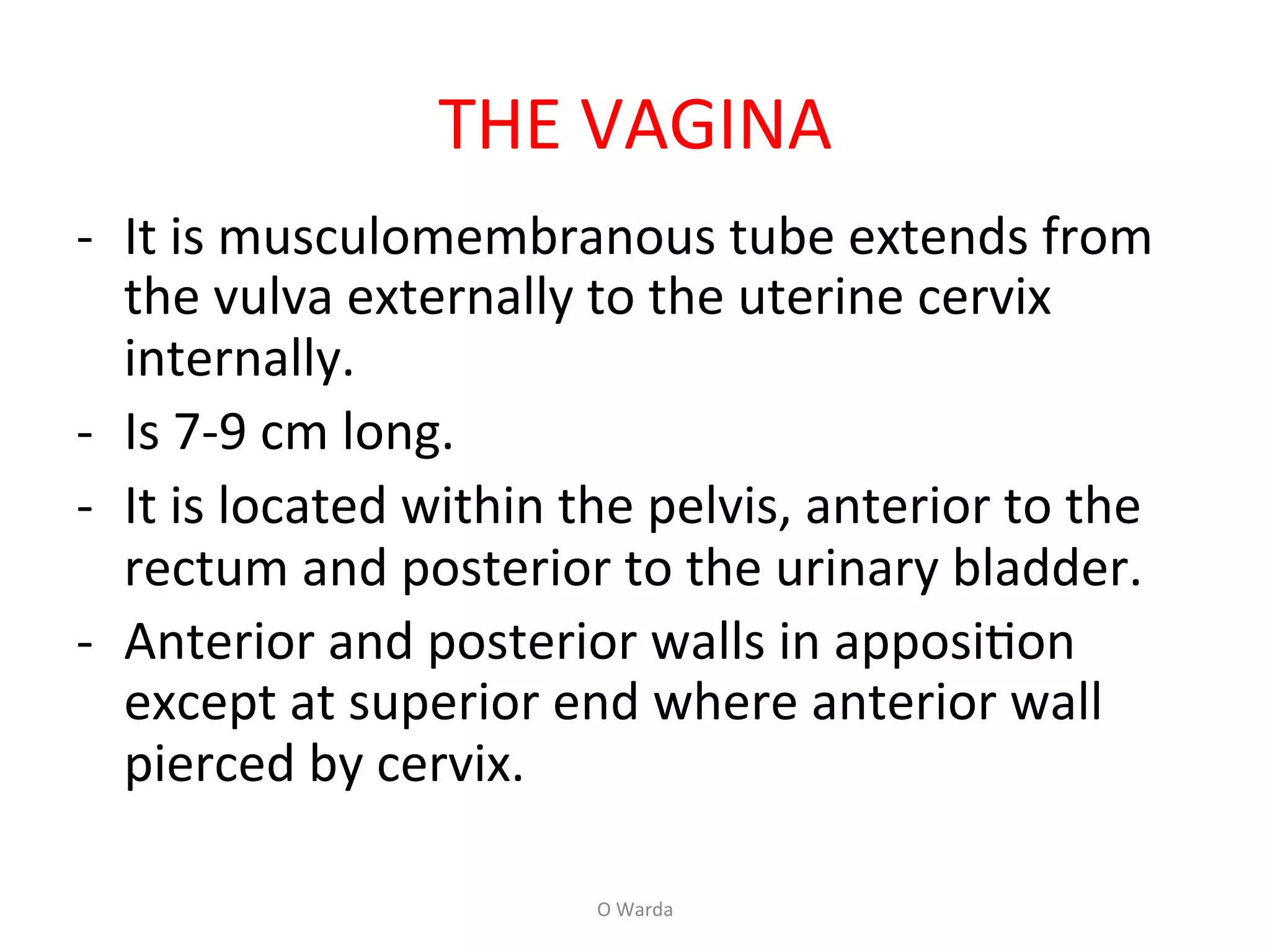 1 female pelvic anatomy-warda (part 1) | PDF