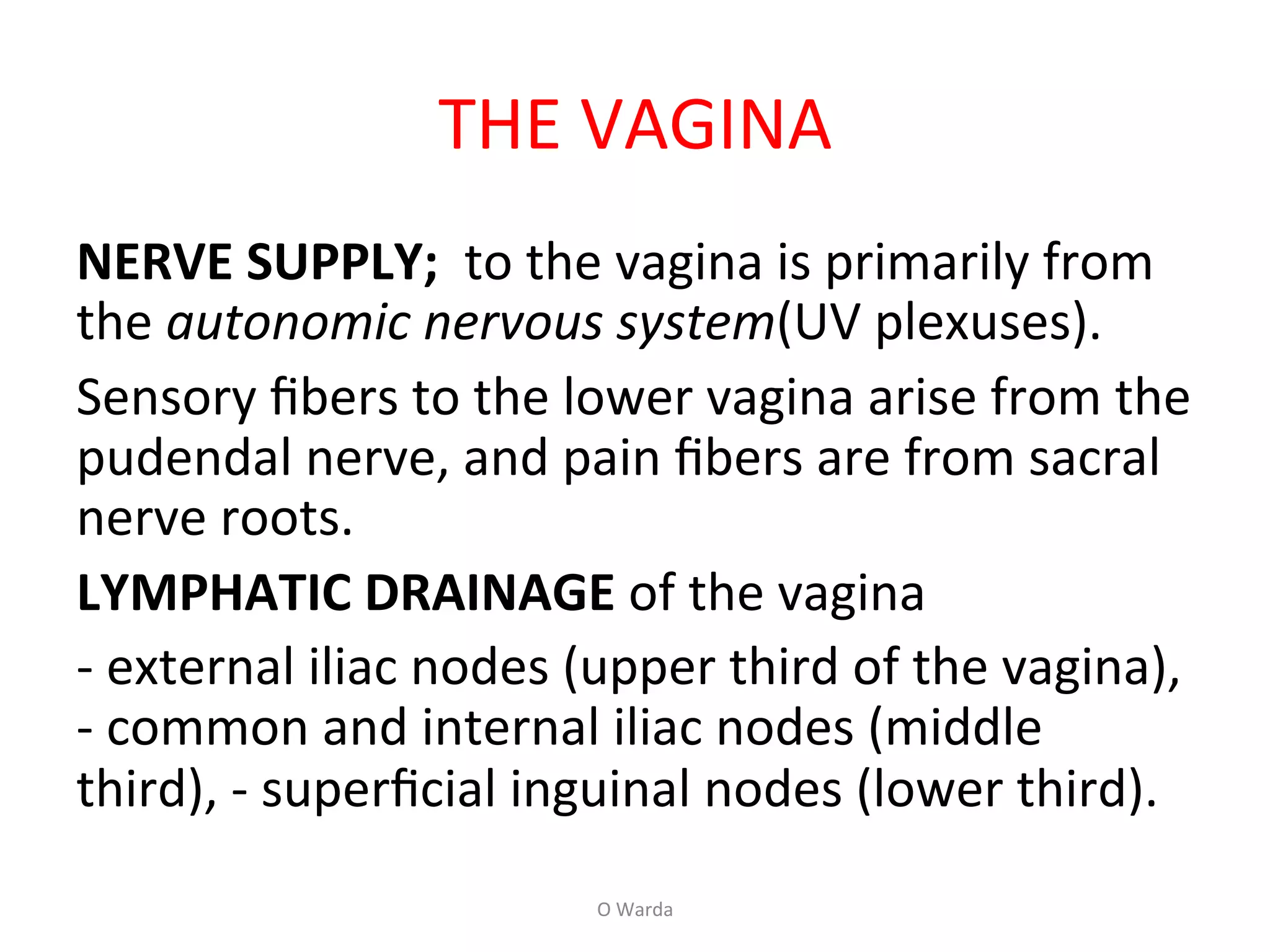 1 female pelvic anatomy-warda (part 1) | PDF