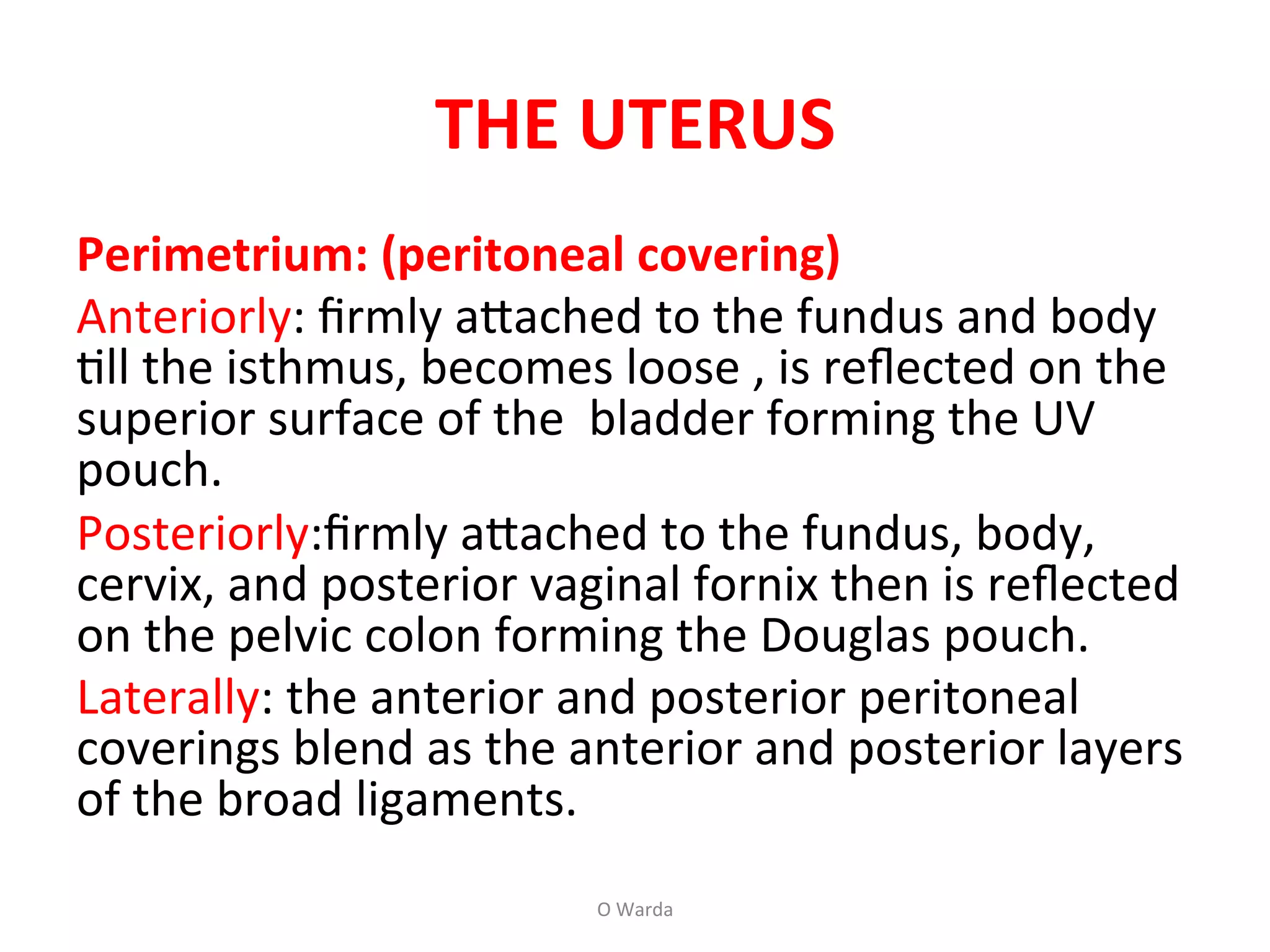 1 female pelvic anatomy-warda (part 1) | PDF
