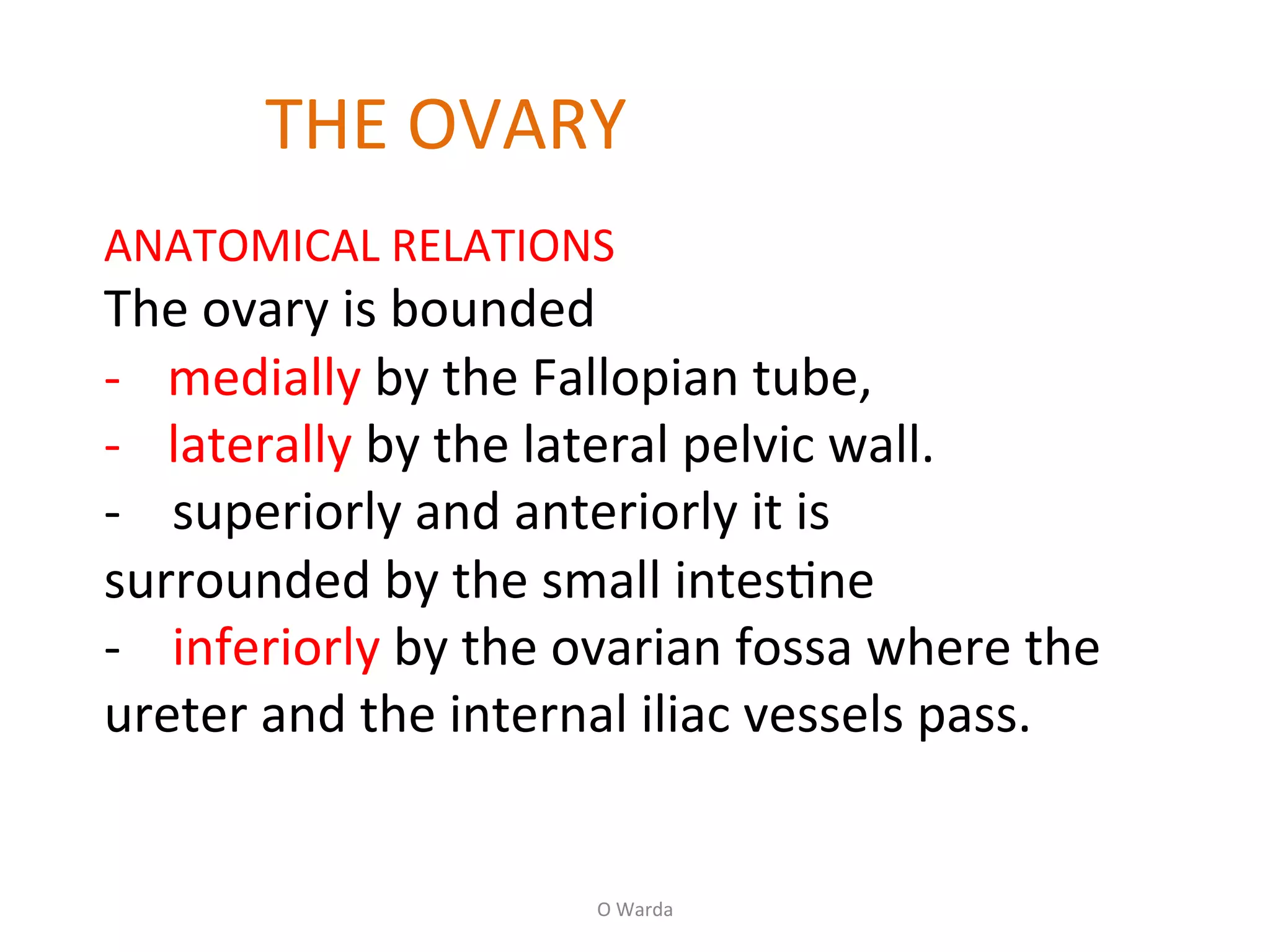 1 female pelvic anatomy-warda (part 1) | PDF