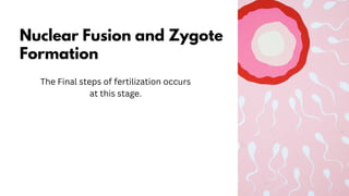 1-Fertilization(developmental biology.pdf