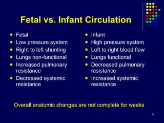 1-fetal circulation | PPT