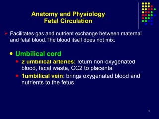 1-fetal circulation | PPT