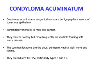 FEMALE GENITAL SYSTEM PATHOLOGY | PPTX