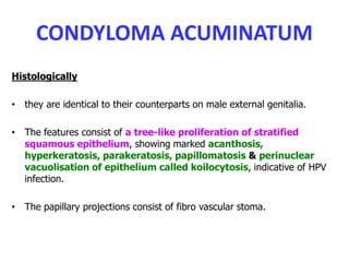 FEMALE GENITAL SYSTEM PATHOLOGY | PPTX