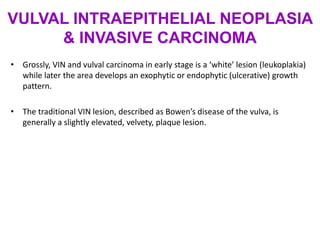 FEMALE GENITAL SYSTEM PATHOLOGY | PPTX