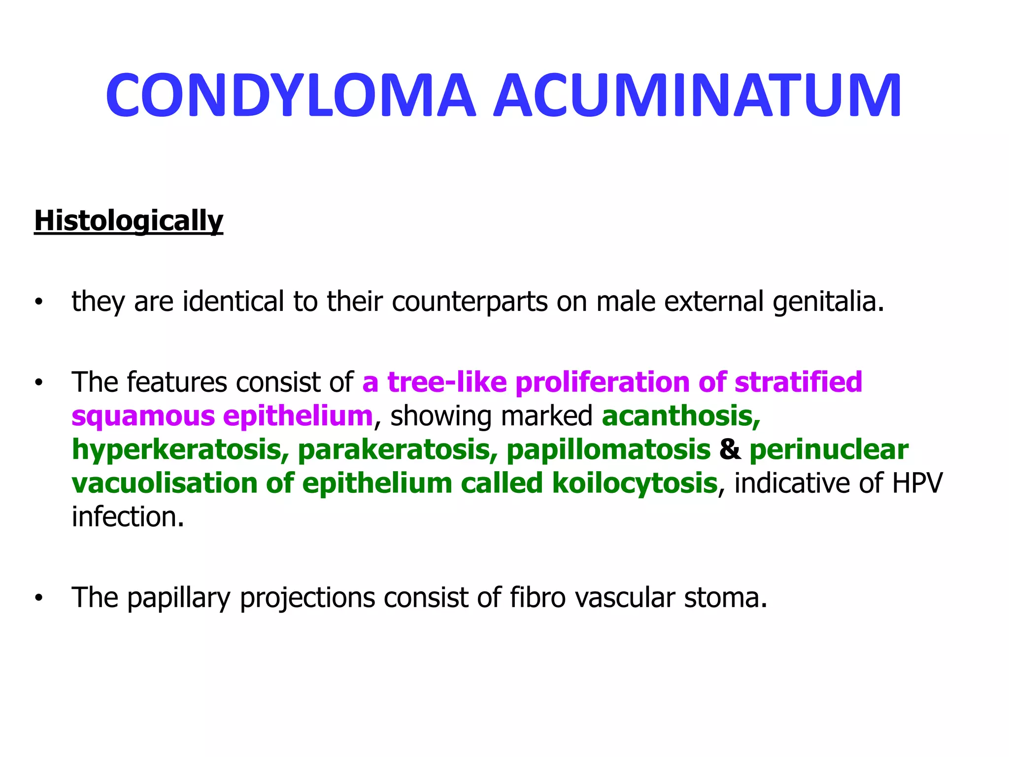 FEMALE GENITAL SYSTEM PATHOLOGY | PPTX