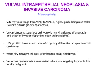 FEMALE GENITAL SYSTEM PATHOLOGY | PPTX