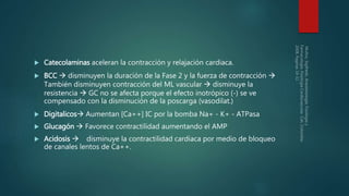 1 fisiologia-cardiovascular-y-anestesia-160218021408 | PDF