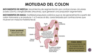 1-FISIOLOGIA DIGESTIVA-GENERALIDADES Y MOTILIDAD (2).pdf