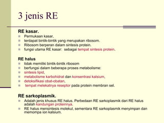 1-fistum-sel-tumbuhan.ppt