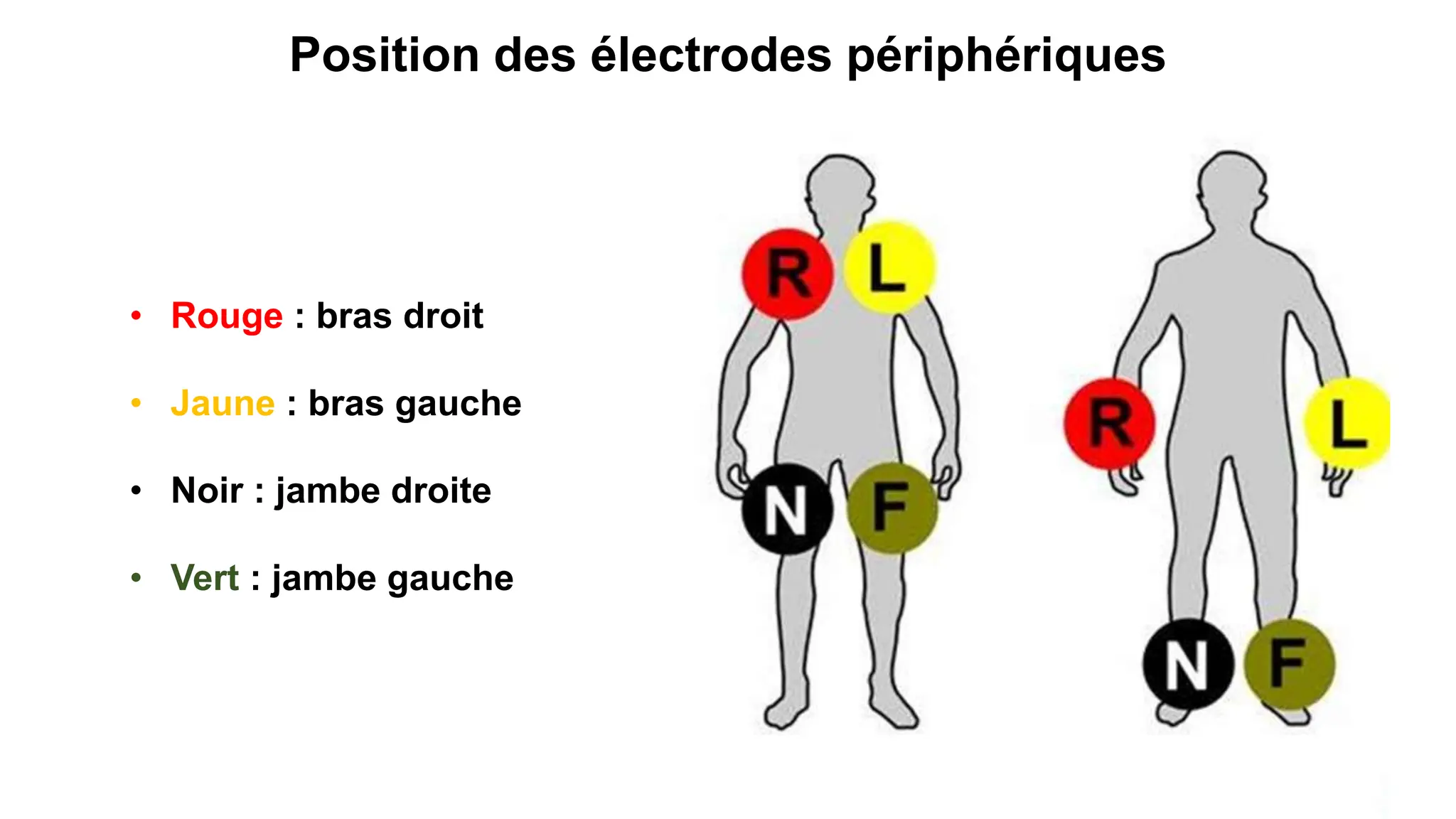 1- Formation ECG TOUBIB World- ECG normal.pptx