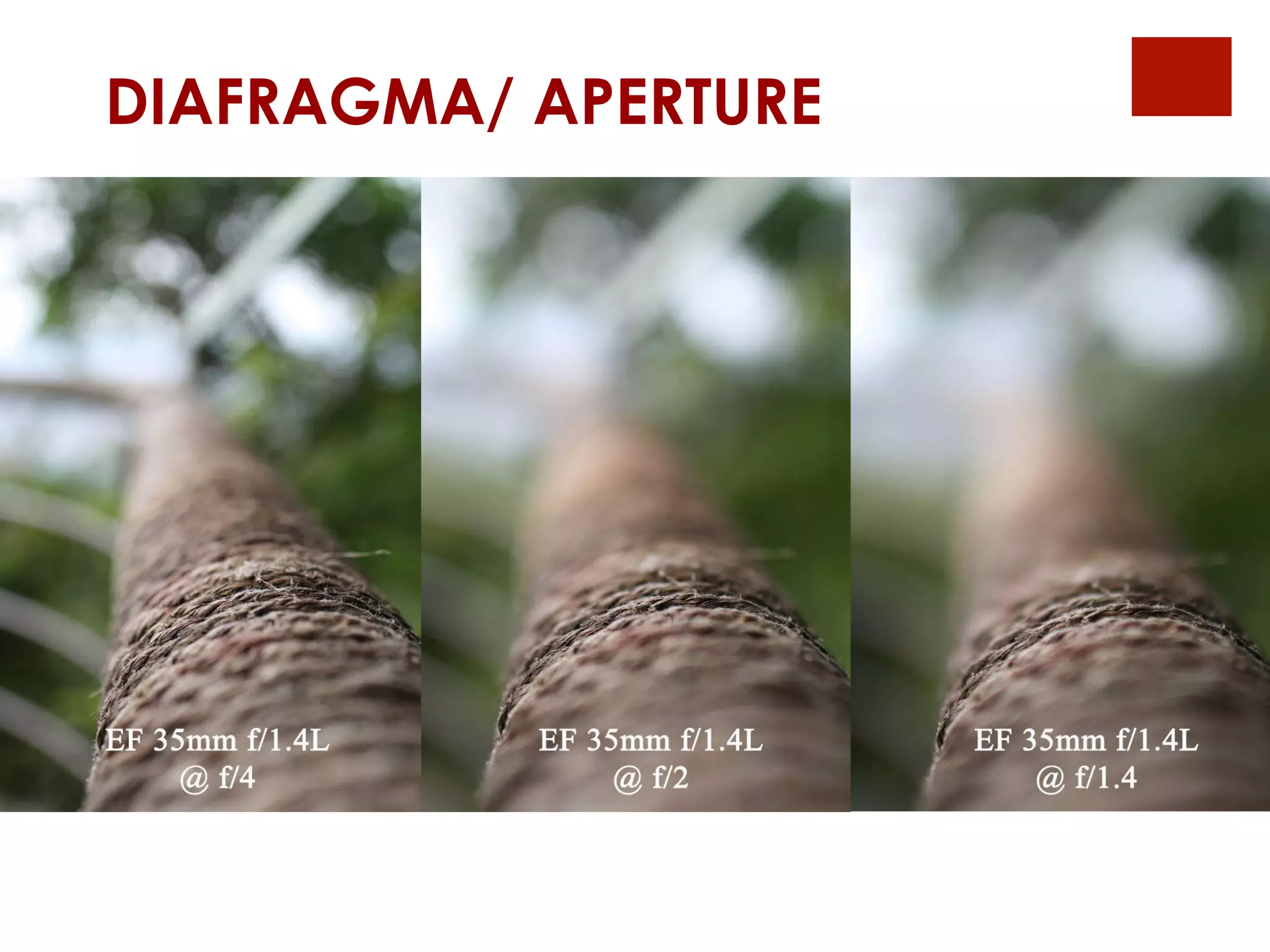 Fotografi Dasar | PPTX