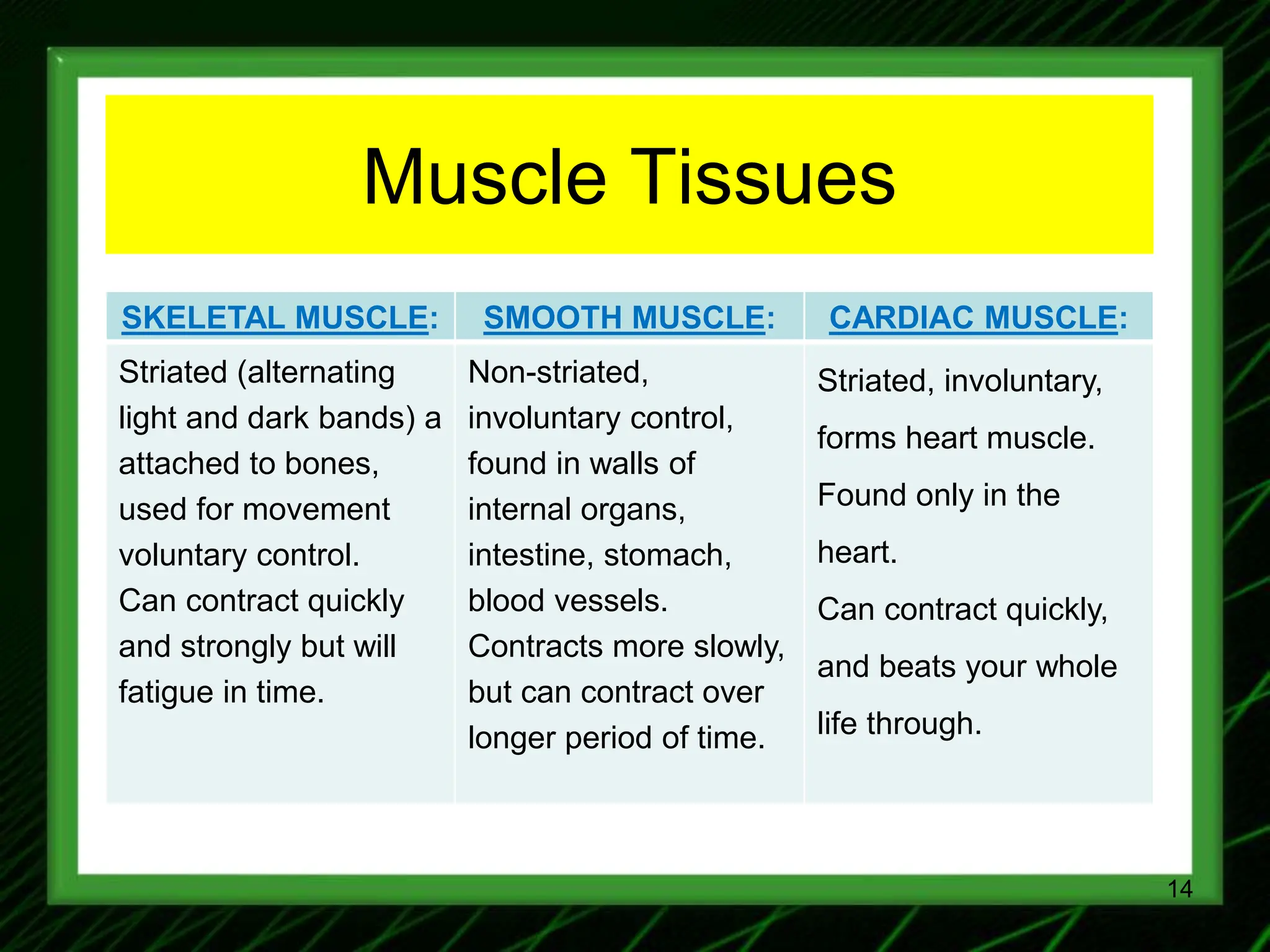 1-Foundation Block Lecture 1 (Organisation of the Human Body).ppt