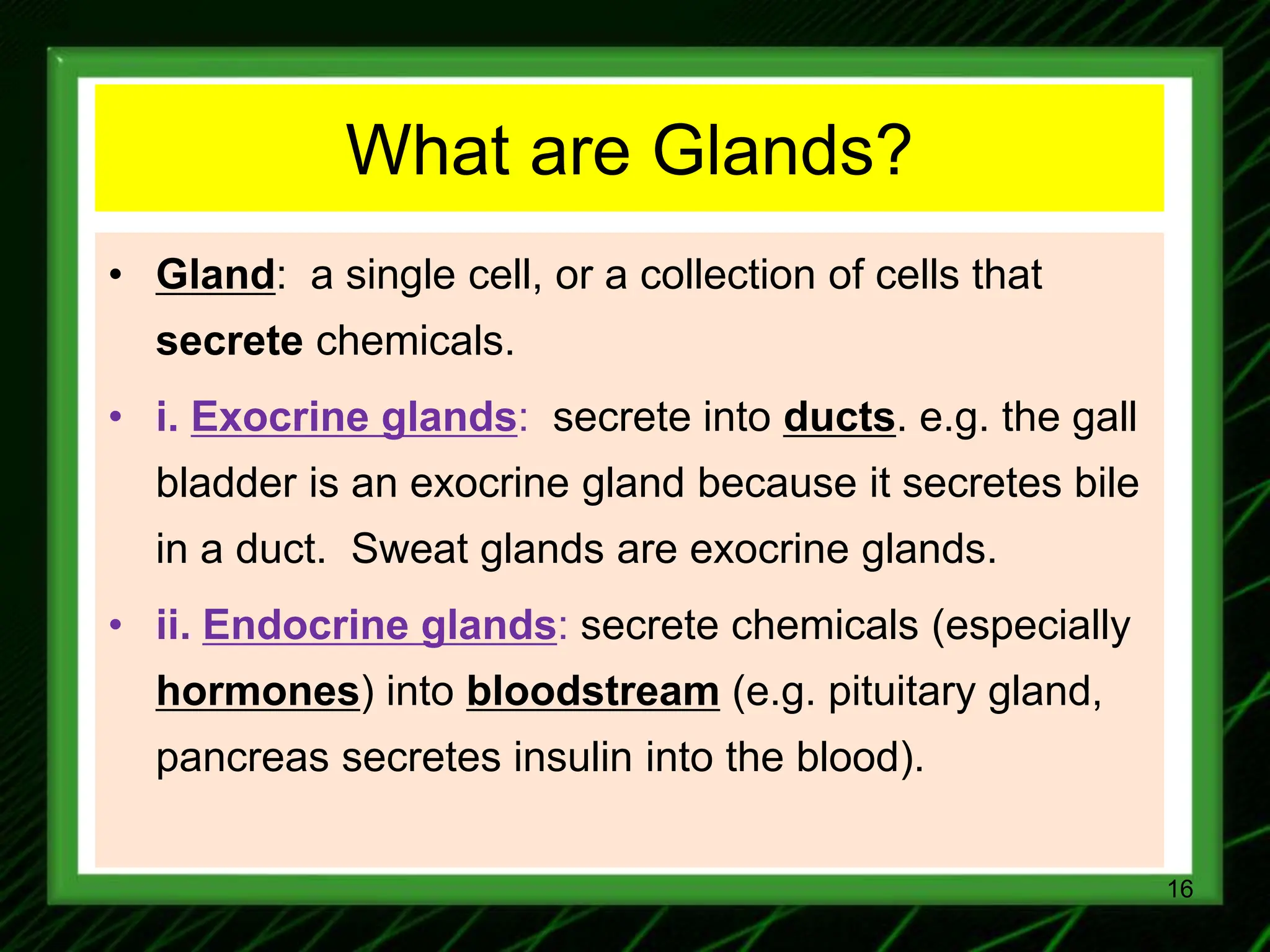 1-Foundation Block Lecture 1 (Organisation of the Human Body).ppt