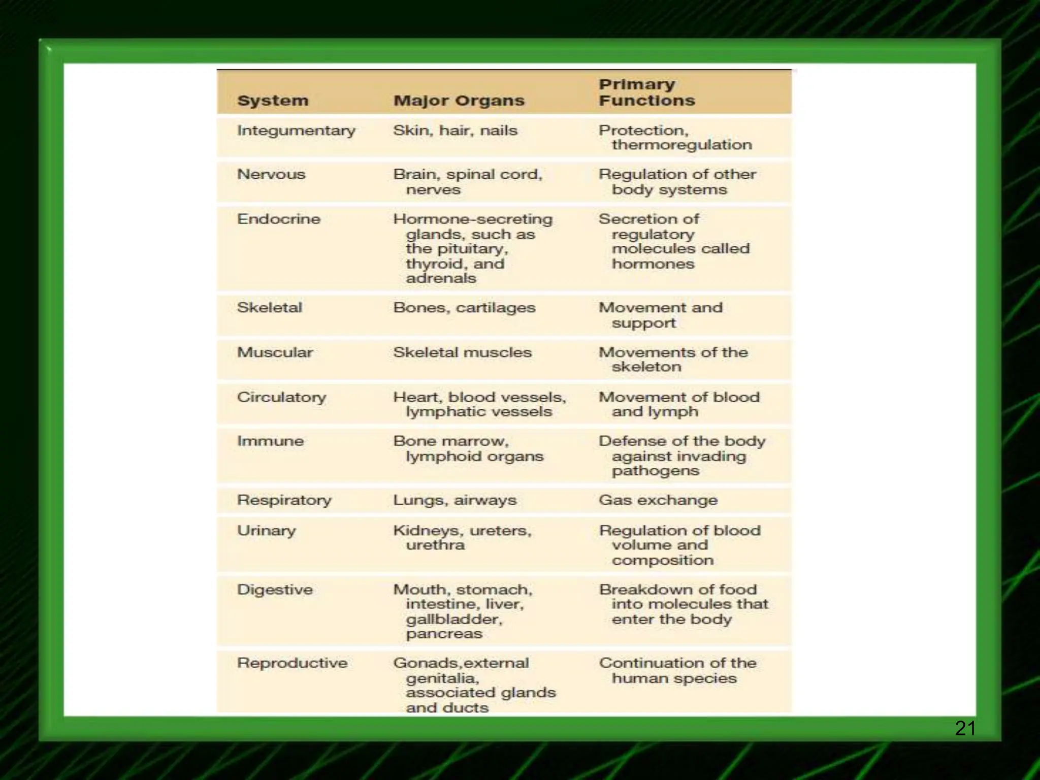 1-Foundation Block Lecture 1 (Organisation of the Human Body).ppt