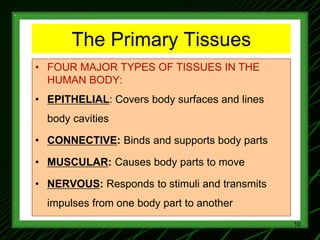 1-Foundation Block Lecture 1 (Organisation of the Human Body).ppt